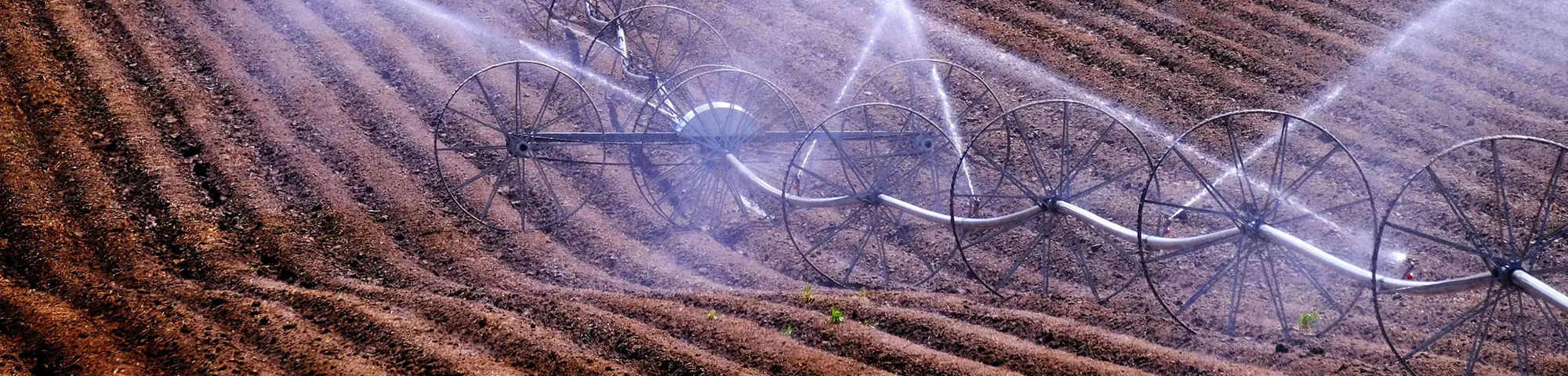 About Thunderbird Irrigation System Products | Made in USA