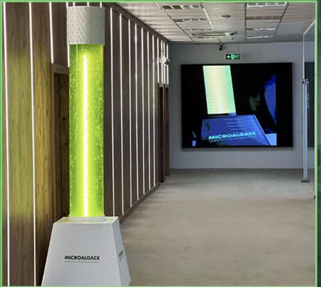 Social Responsibility