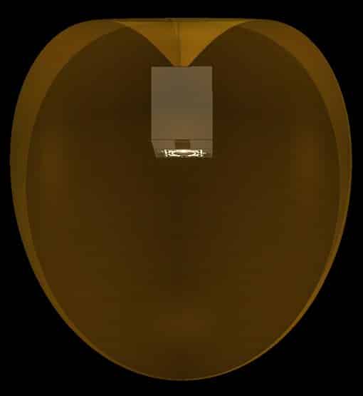 What Is Cardioid in Subwoofers?