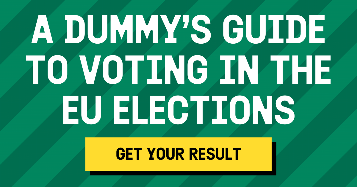 Voting in the EU Elections for Dummies – European Greens