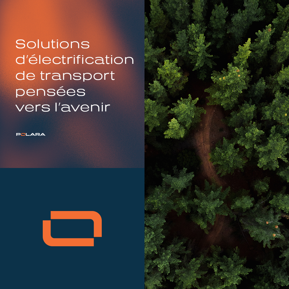 Polara logo, graphisme et site web - Projets - Agence Nabi