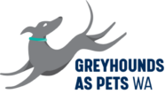 Western Australia - National Greyhound Adoption Month