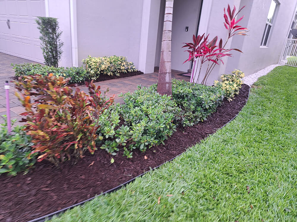 Everglades Lawn and Landscaping: Premier Care in South Florida