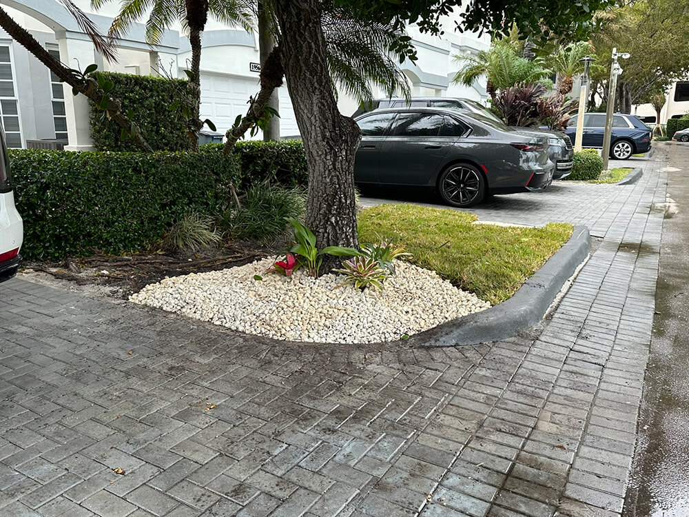 Everglades Lawn and Landscaping: Premier Care in South Florida
