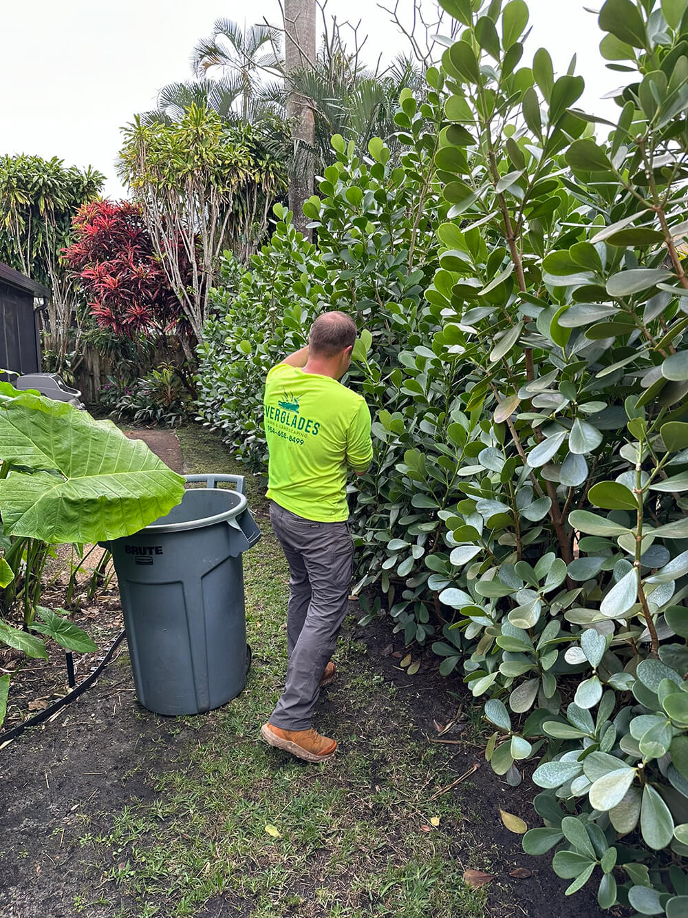 Everglades Lawn and Landscaping: Premier Care in South Florida
