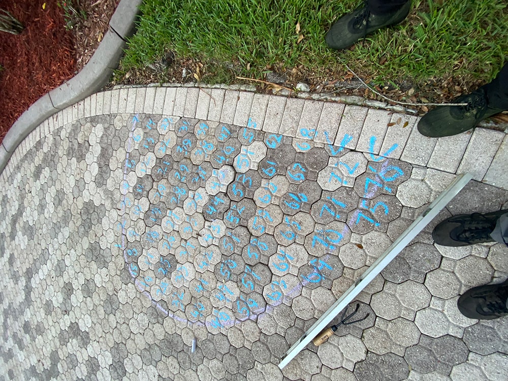 Everglades Lawn and Landscaping: Premier Care in South Florida