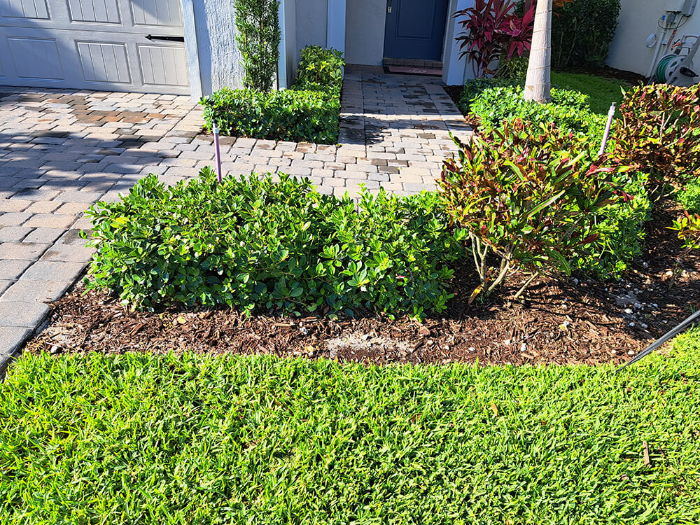 The Best Turf Management Service in Davie, FL | Everglades Lawn and ...