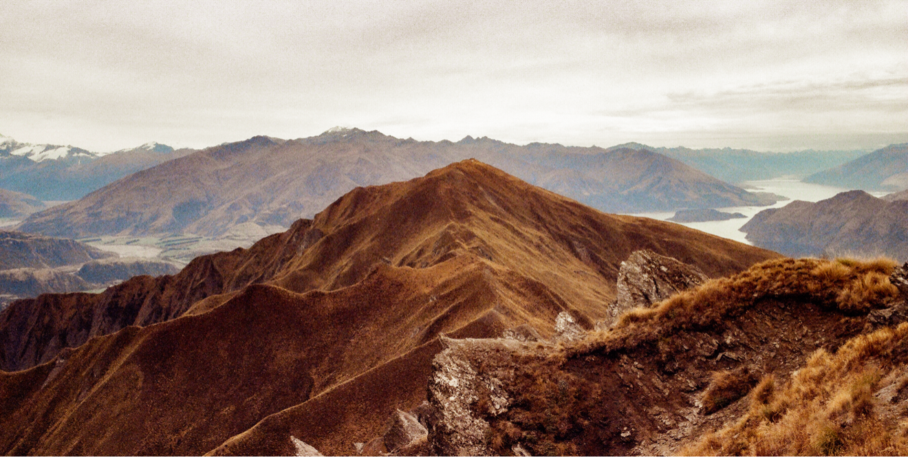 Embracing biophilic design: architecture rooted in nature | Alki Design