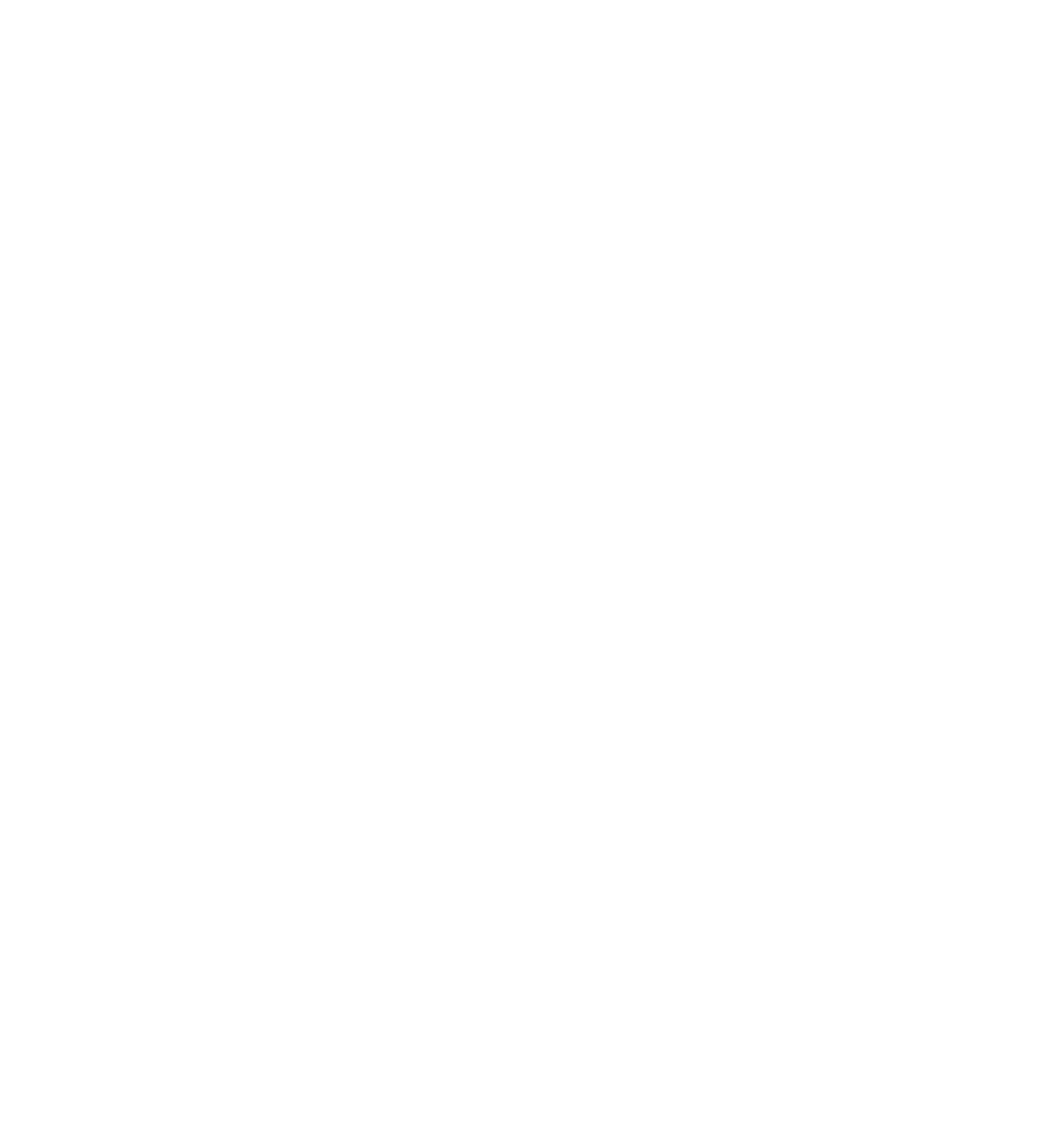 Diamond Shine Concrete - New Zealand's Polished Floor Specialists