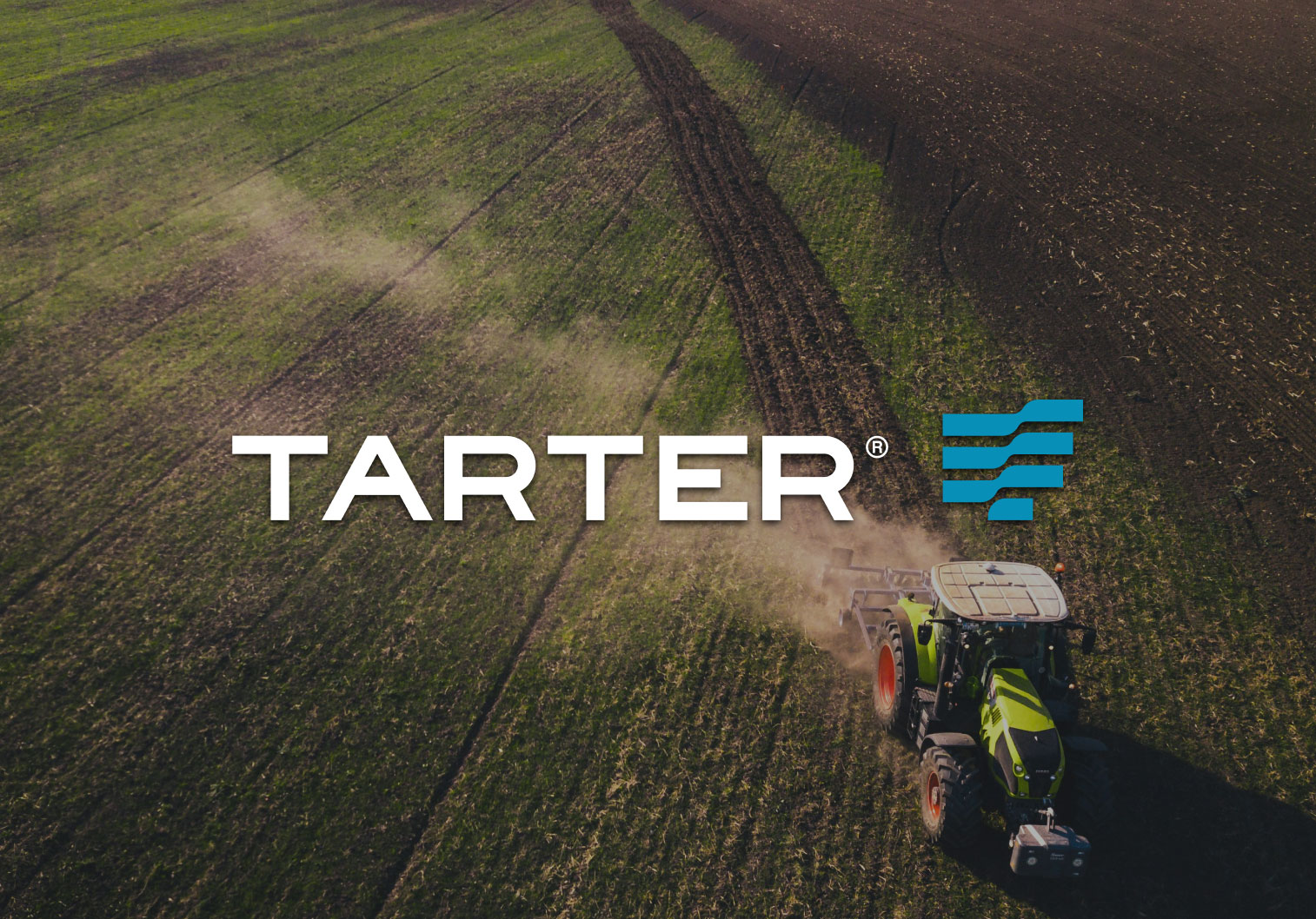 Tarter by Sabbath Studios