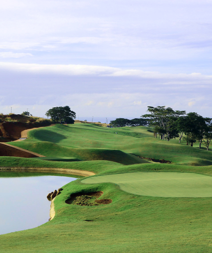 Netforce International | Homepage