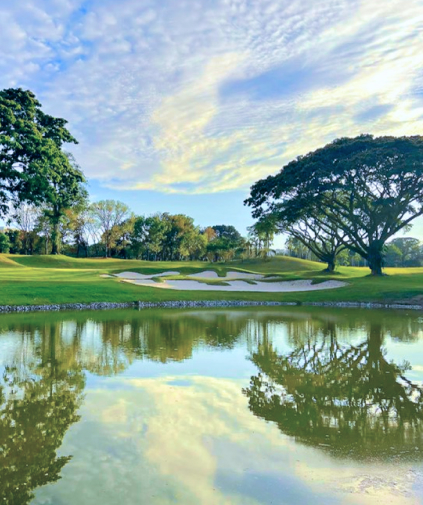 Netforce International | Homepage