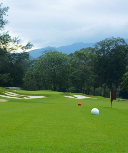 Netforce International | Homepage