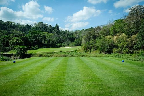 Subic International Golf Club | Netforce International