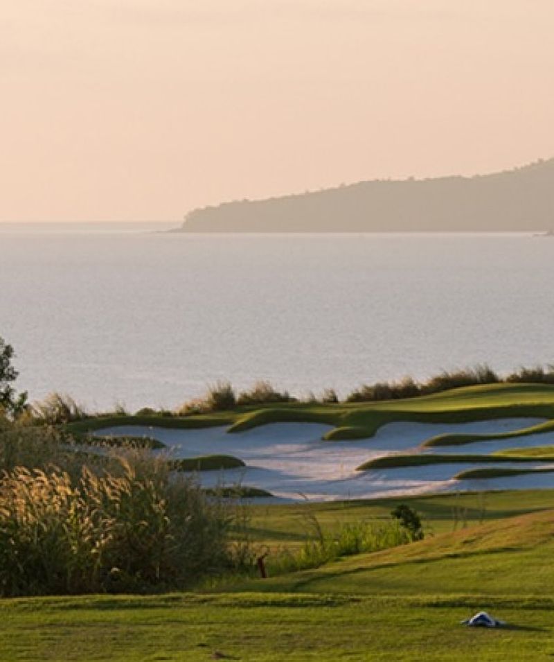 Netforce International | Homepage