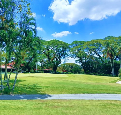 Netforce International | Our Services