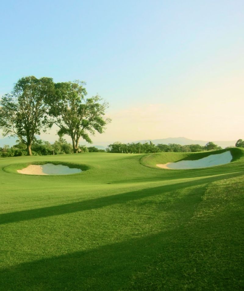 Netforce International | Homepage