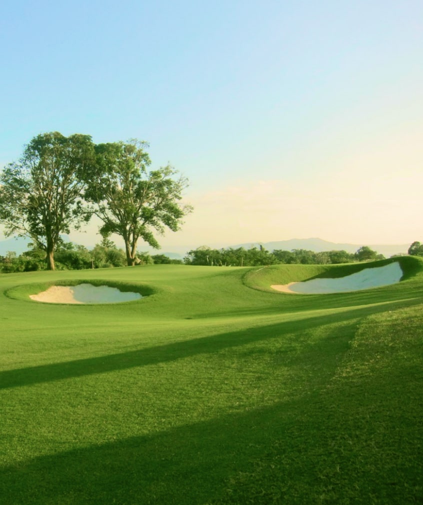 Netforce International | Our Projects