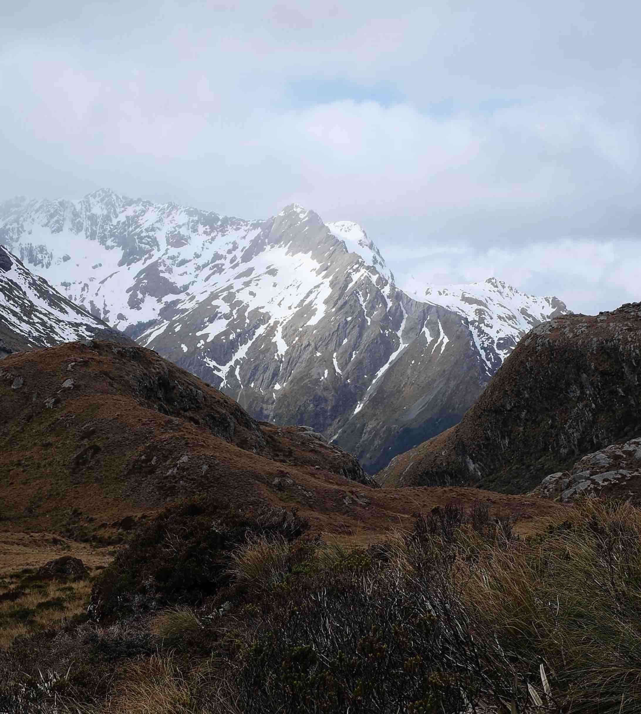 Motion Capital - Growing Good