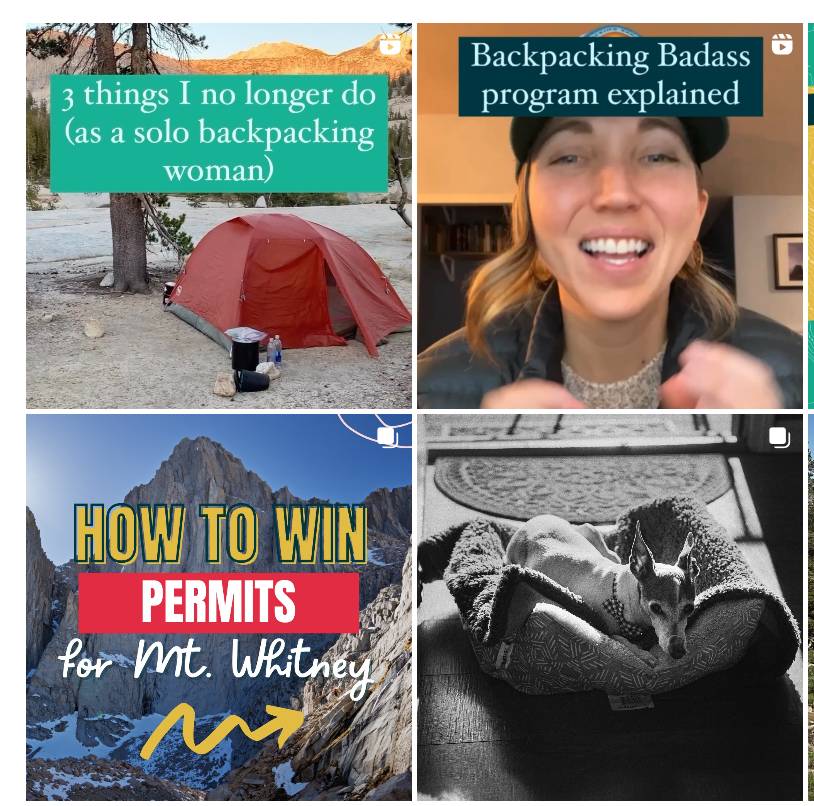 The Ultimate Guide to UGC Rates in 2024: All Questions Answered ...