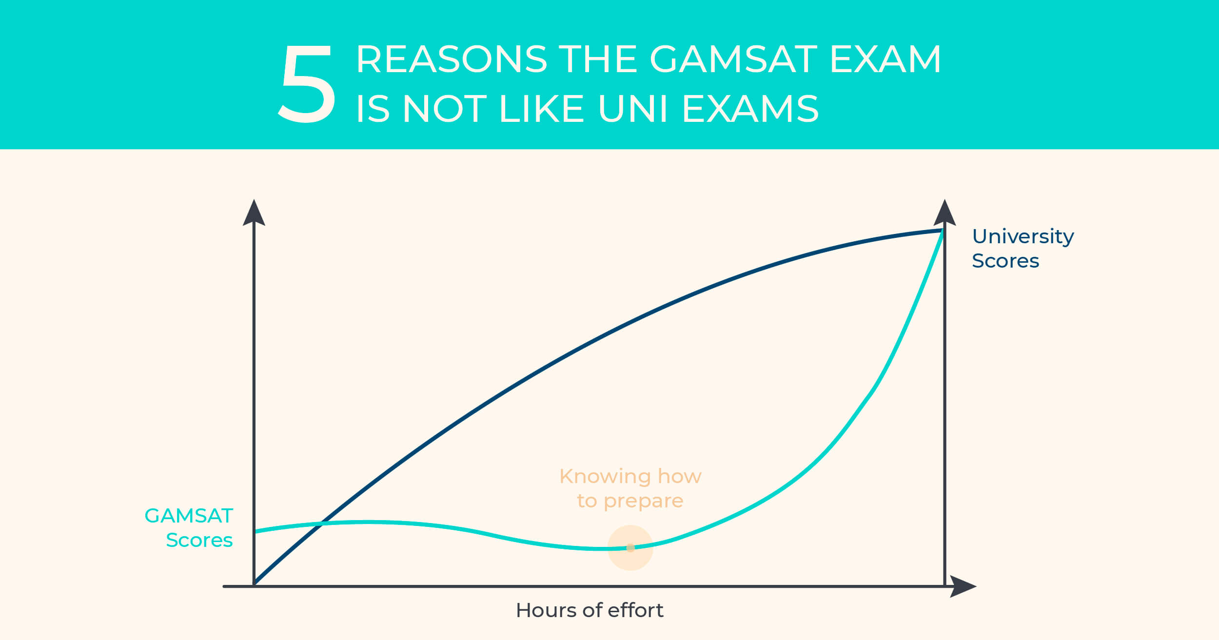 5 Reasons Why Your GAMSAT Prep Should Differ From Uni Exam
