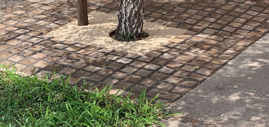 Complete guide: Get to the Root of how to lay Pavers around a Tree ...