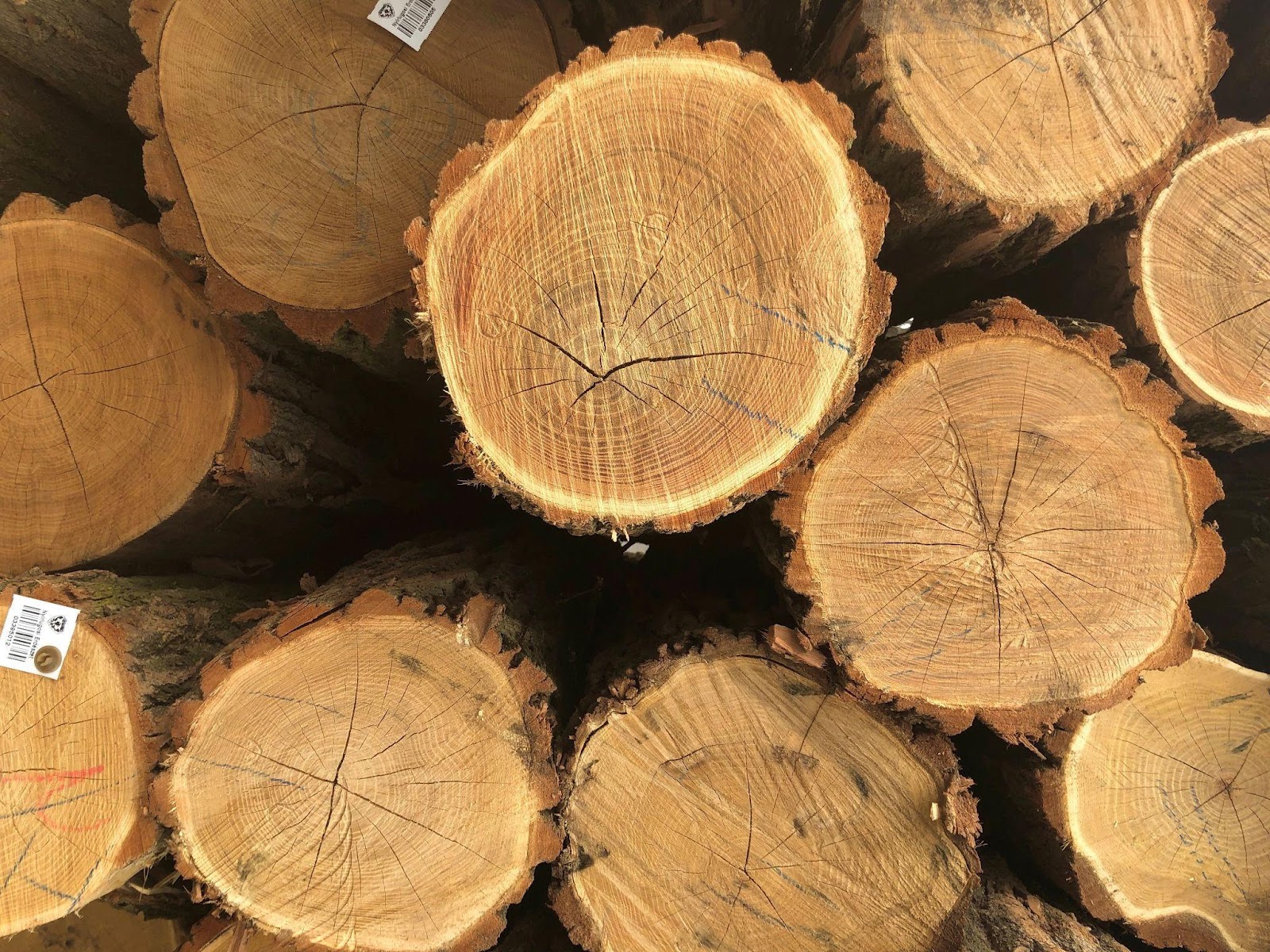 Is Black Locust a hardwood? — Black Locust Lumber