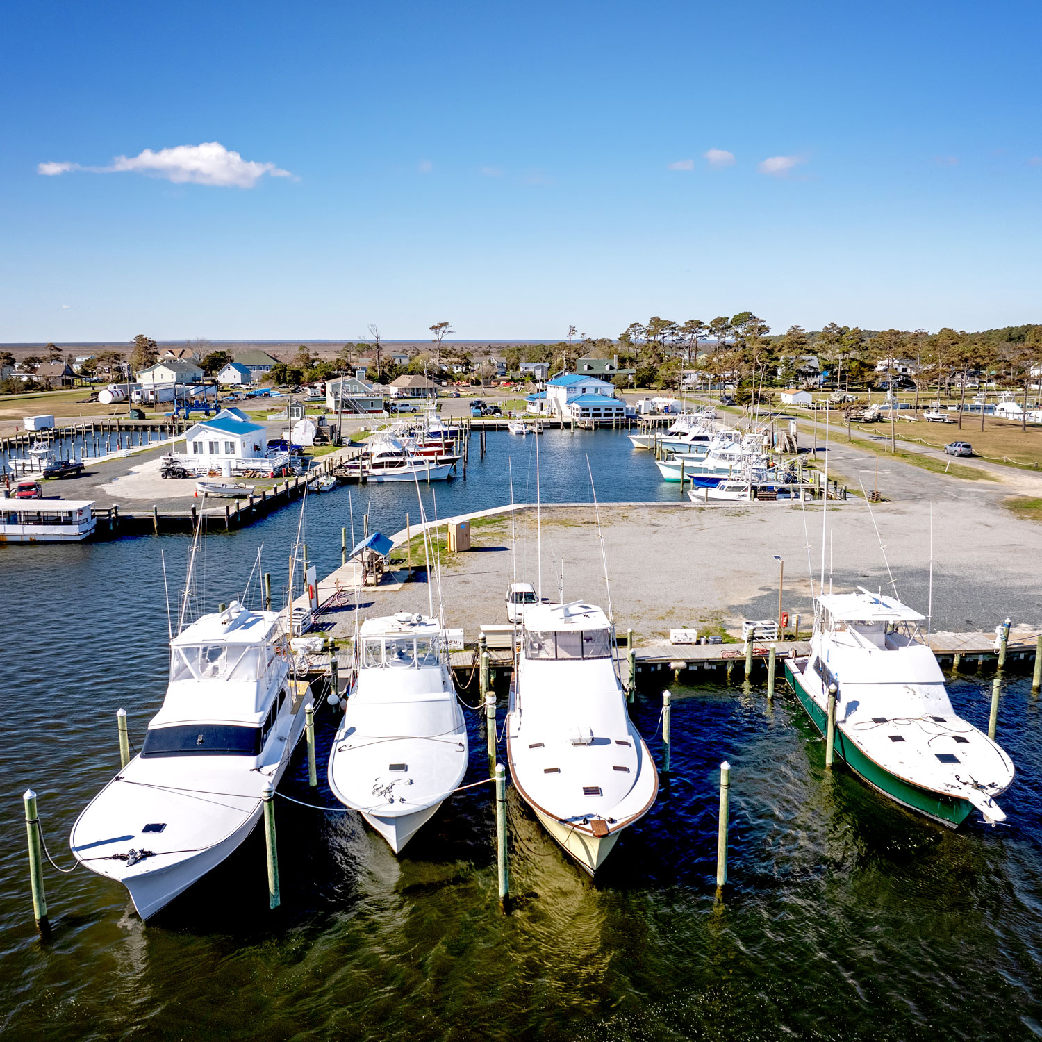 Outer Banks Fishing Charters - Wanchese Marina