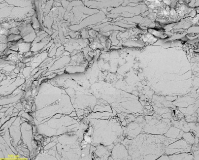 Mosaic SEM - DigiM Solution