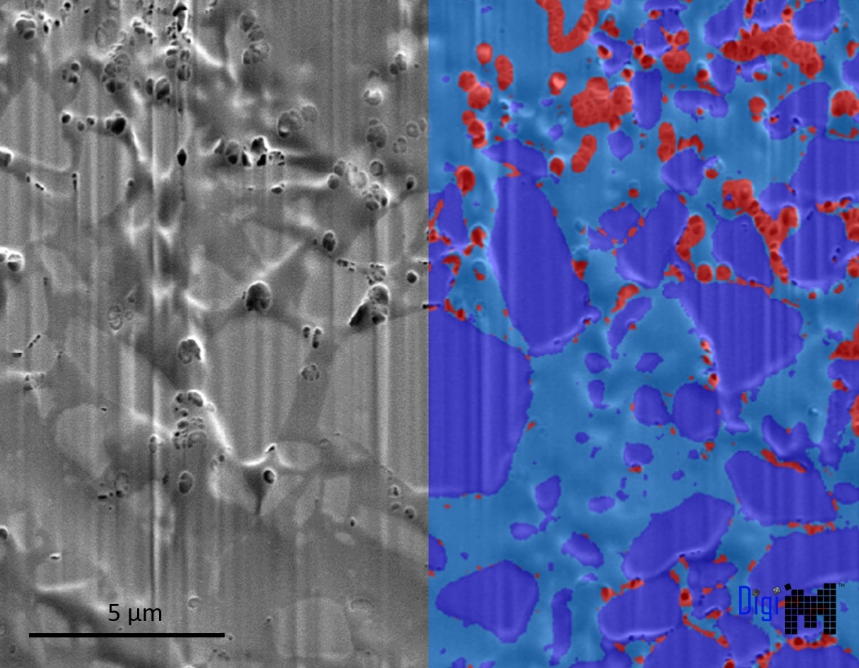 Controlled Release Microspheres - DigiM Solution