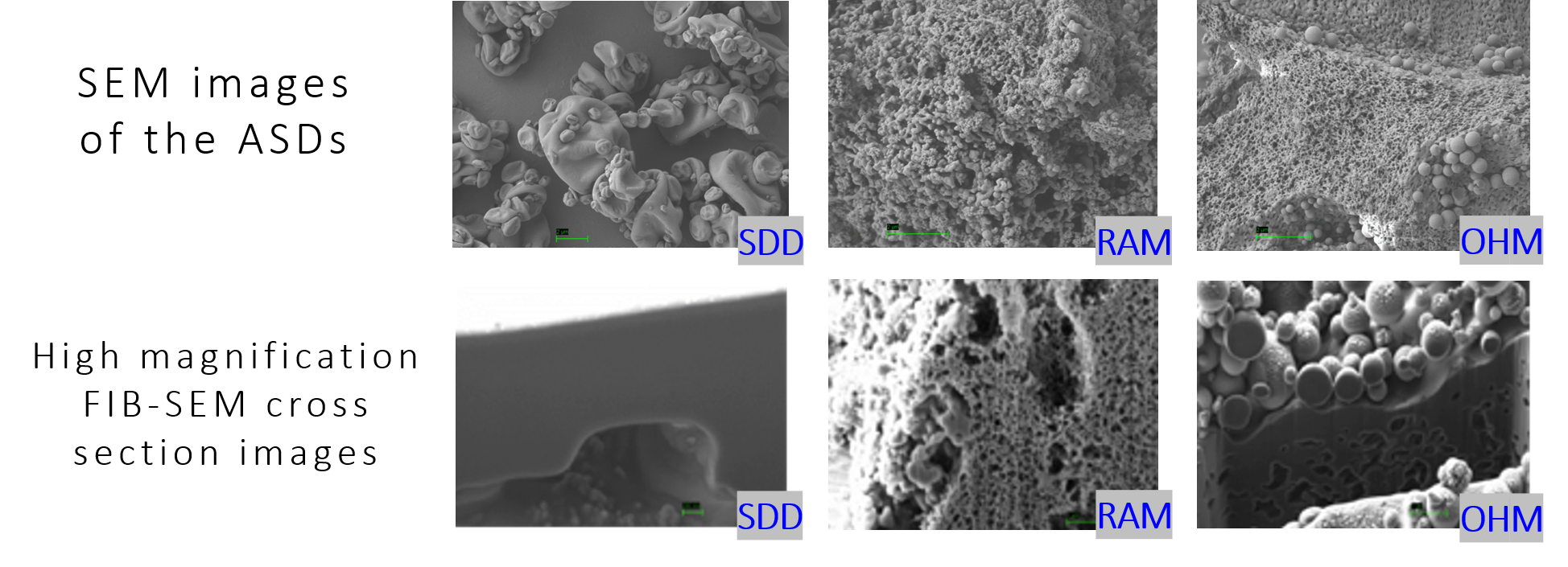 Amorphous Solid Dispersion Particles - DigiM Solution