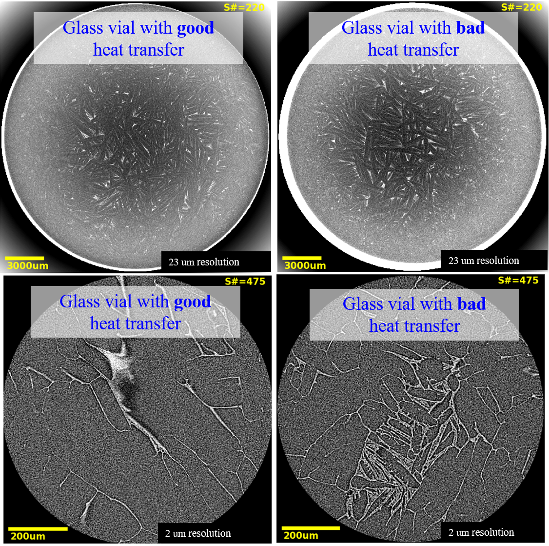 Lyo Container Closure Systems - DigiM Solution