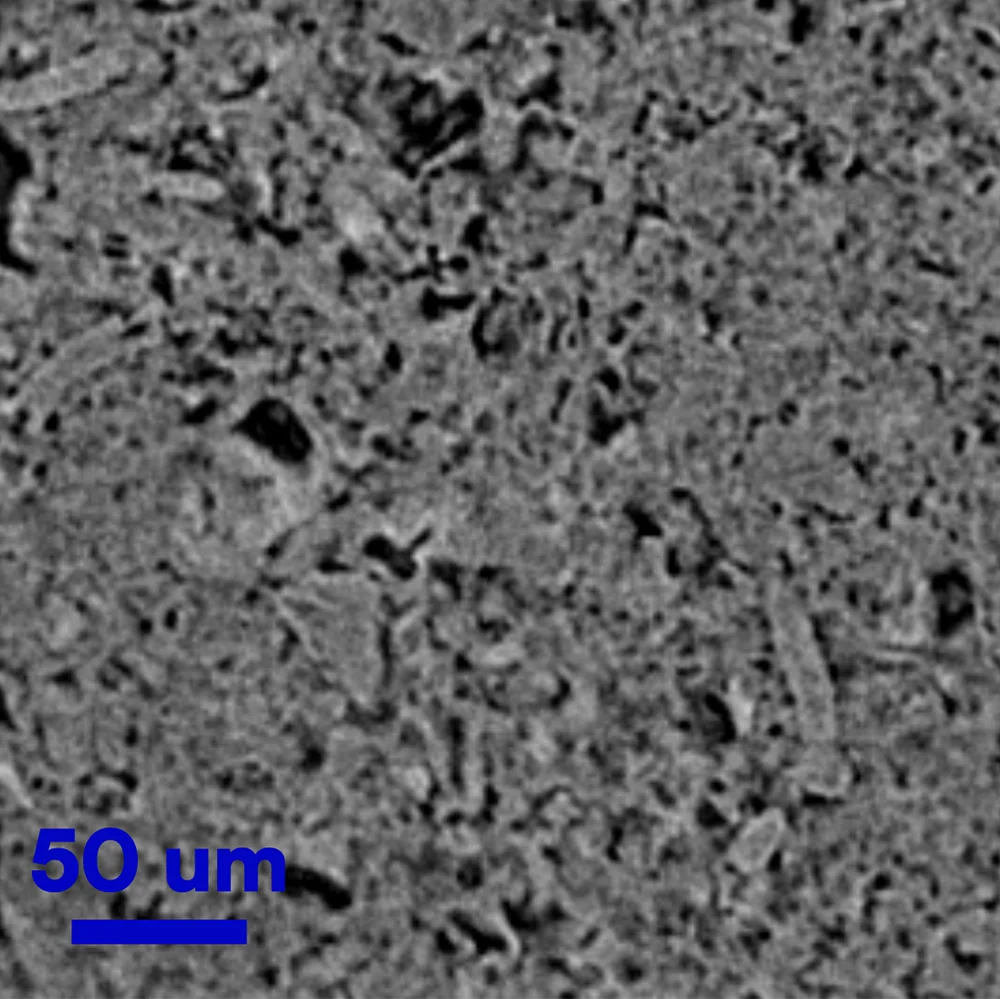 In Silico Dissolution - DigiM Solution