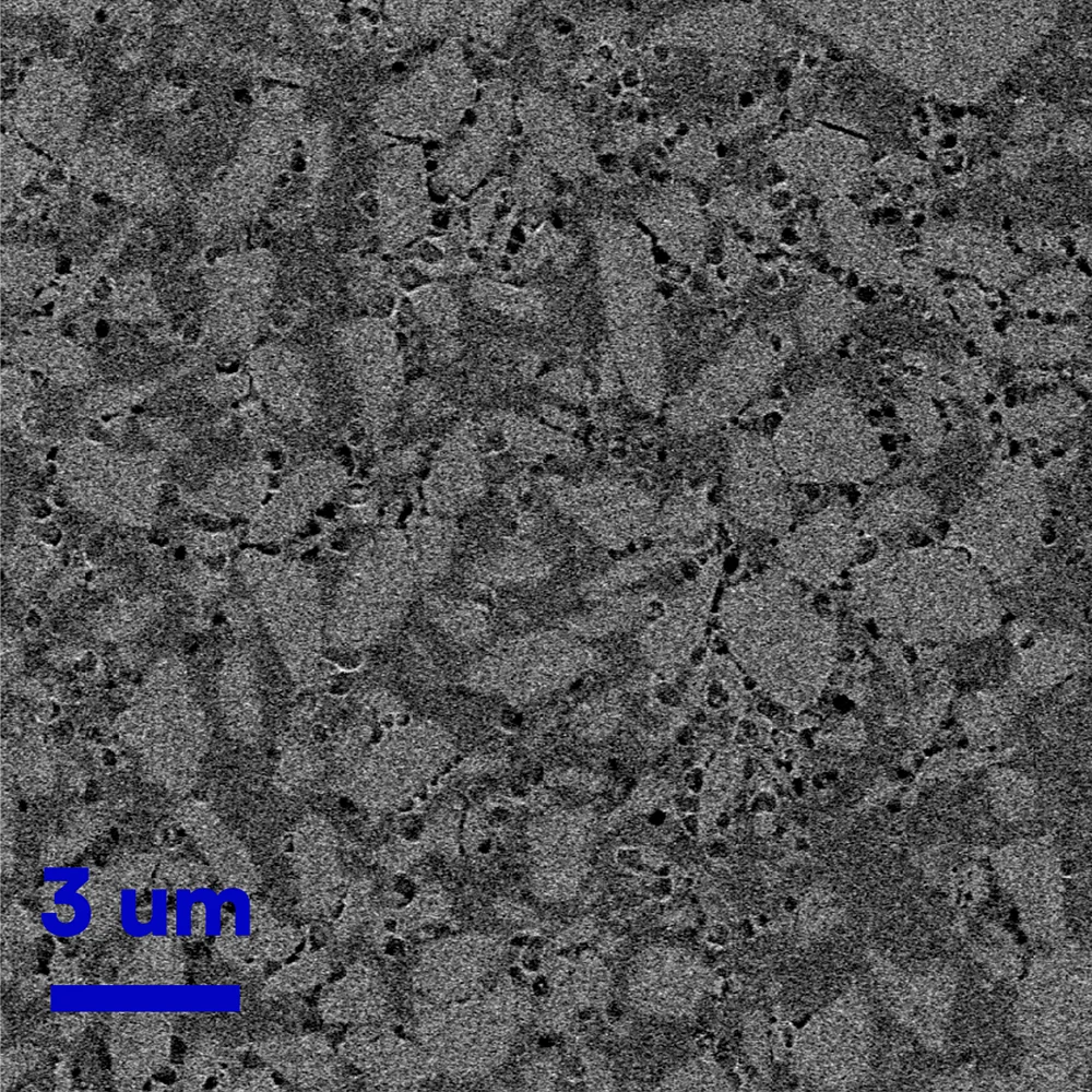 In Silico Dissolution - DigiM Solution