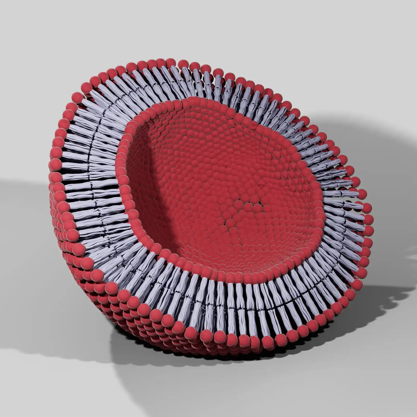 Nanocarriers - DigiM Solution