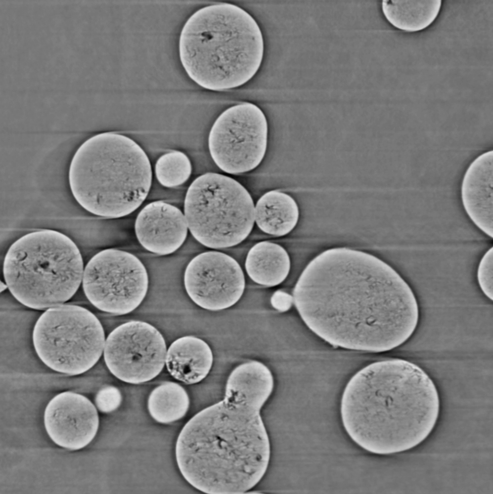 Synchrotron X-ray micro-CT - DigiM Solution