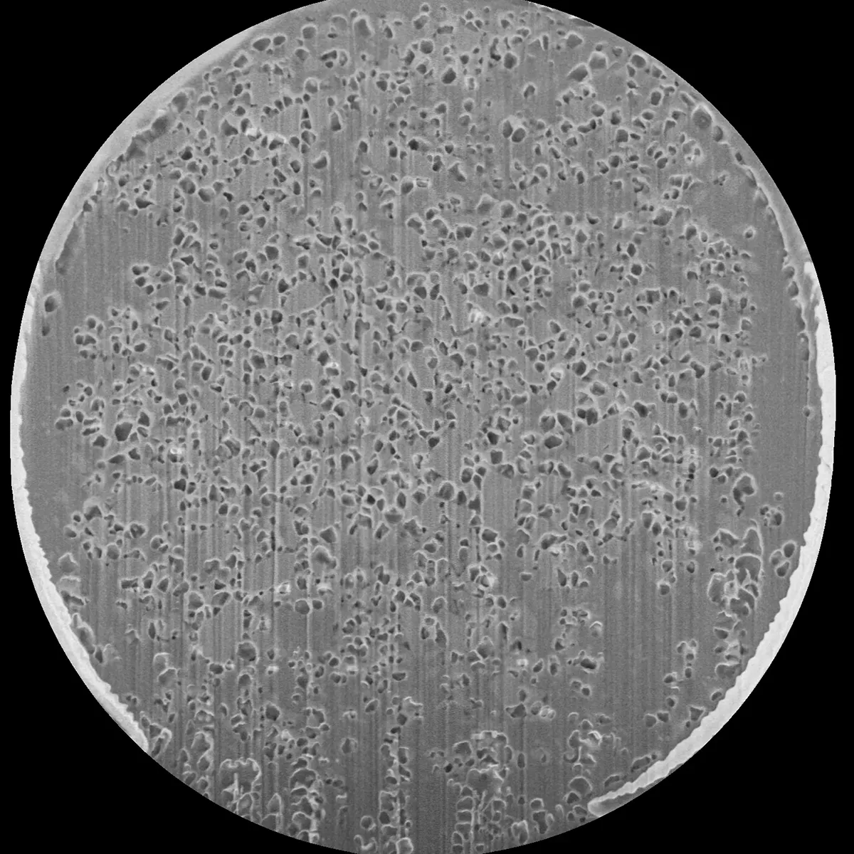 FIB-SEM - DigiM Solution