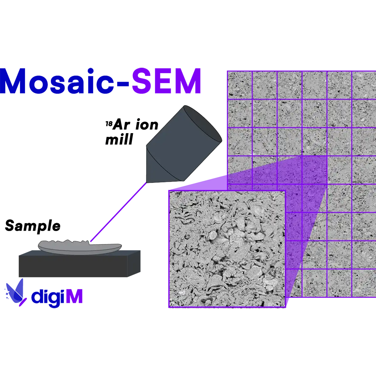Mosaic SEM - DigiM Solution