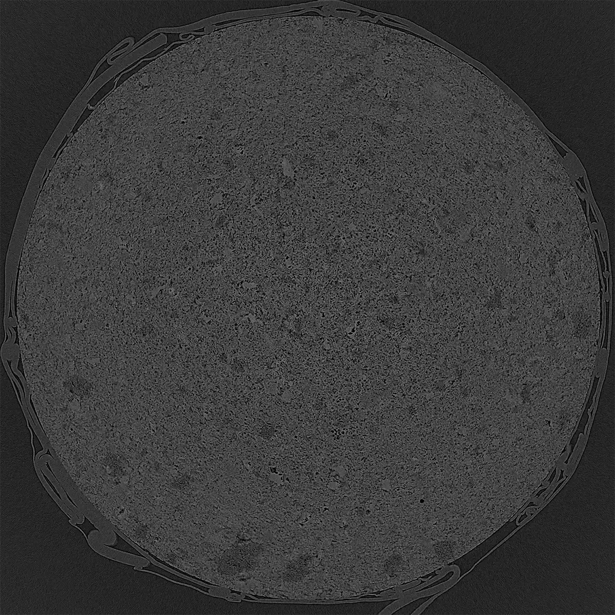X-ray micro-CT - DigiM Solution