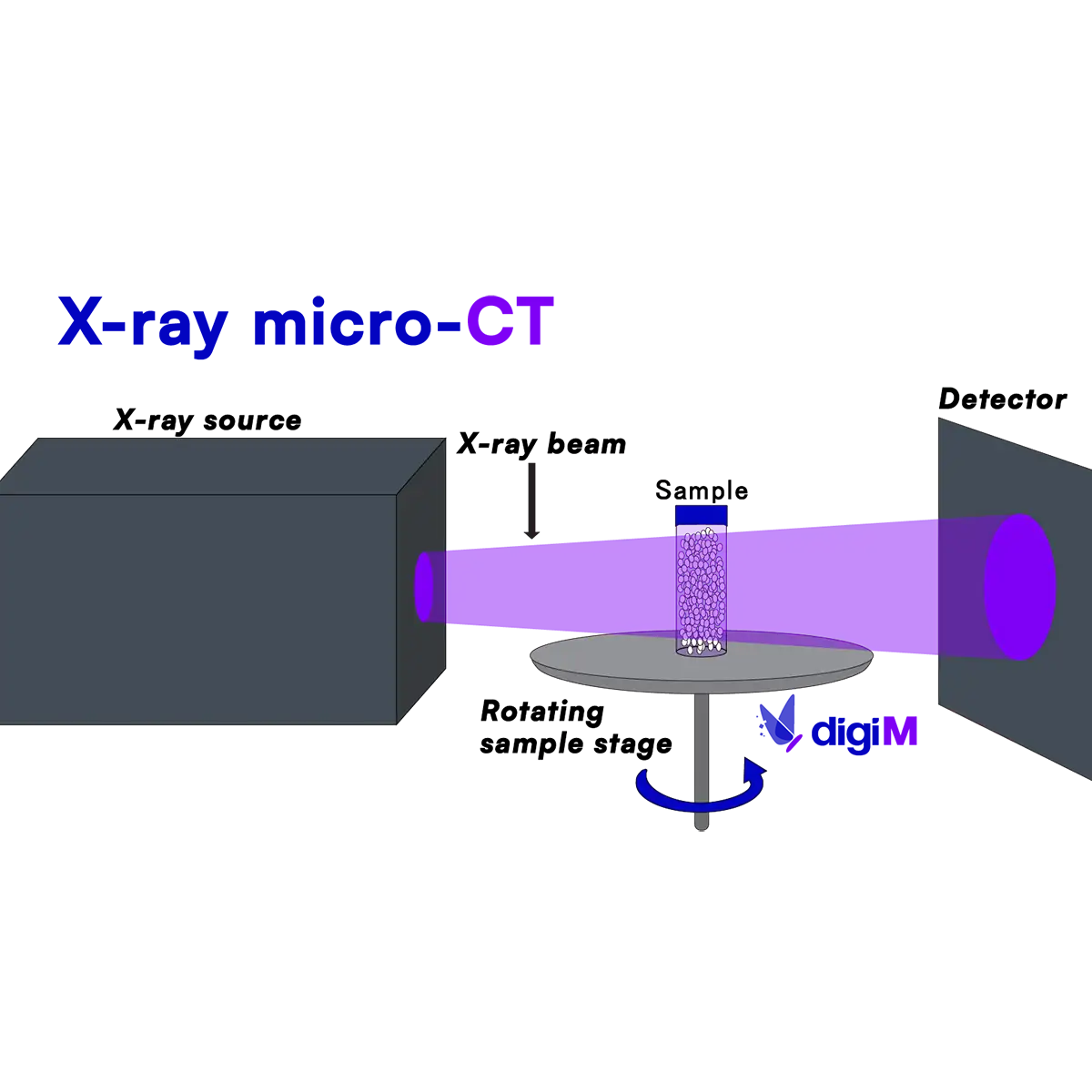 X-ray micro-CT - DigiM Solution