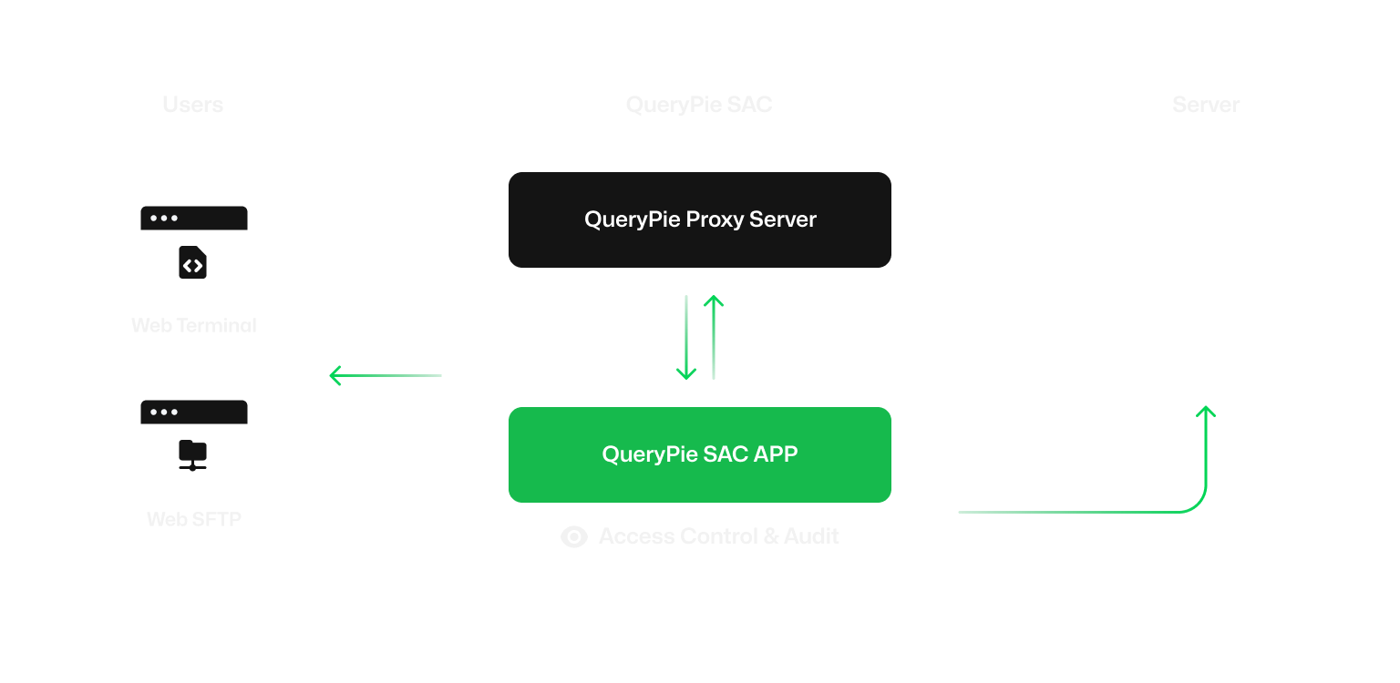 Cloud-native Security Solution, QueryPie