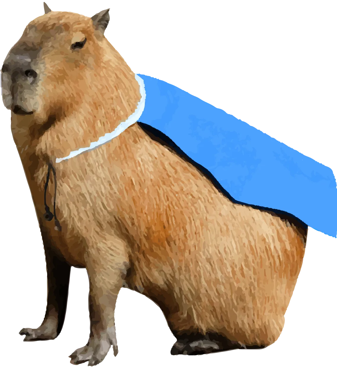 Capybara