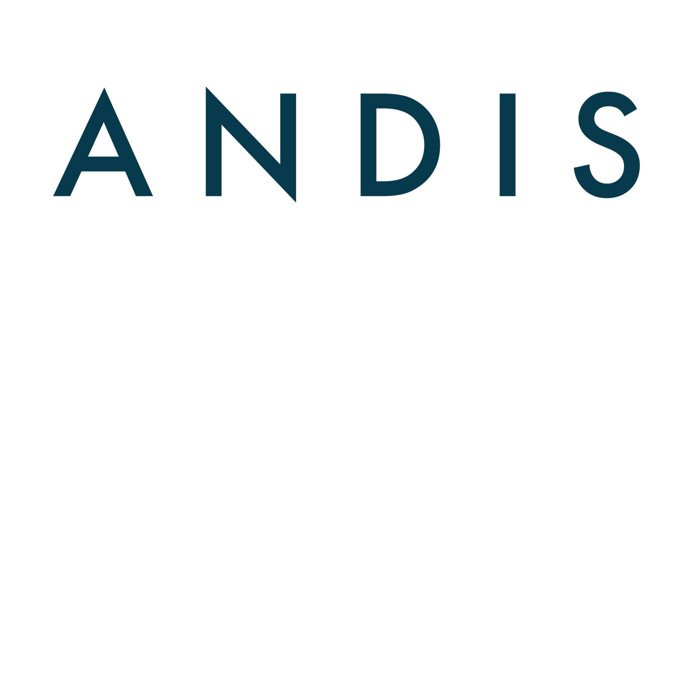 Andis Partners
