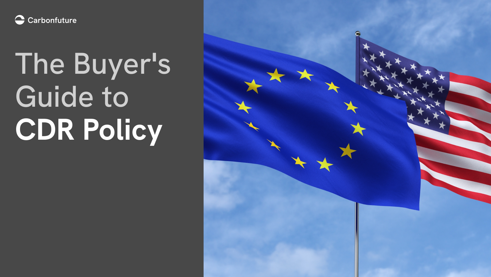 The Buyer's Guide to Carbon Dioxide Removal (CDR) Policy