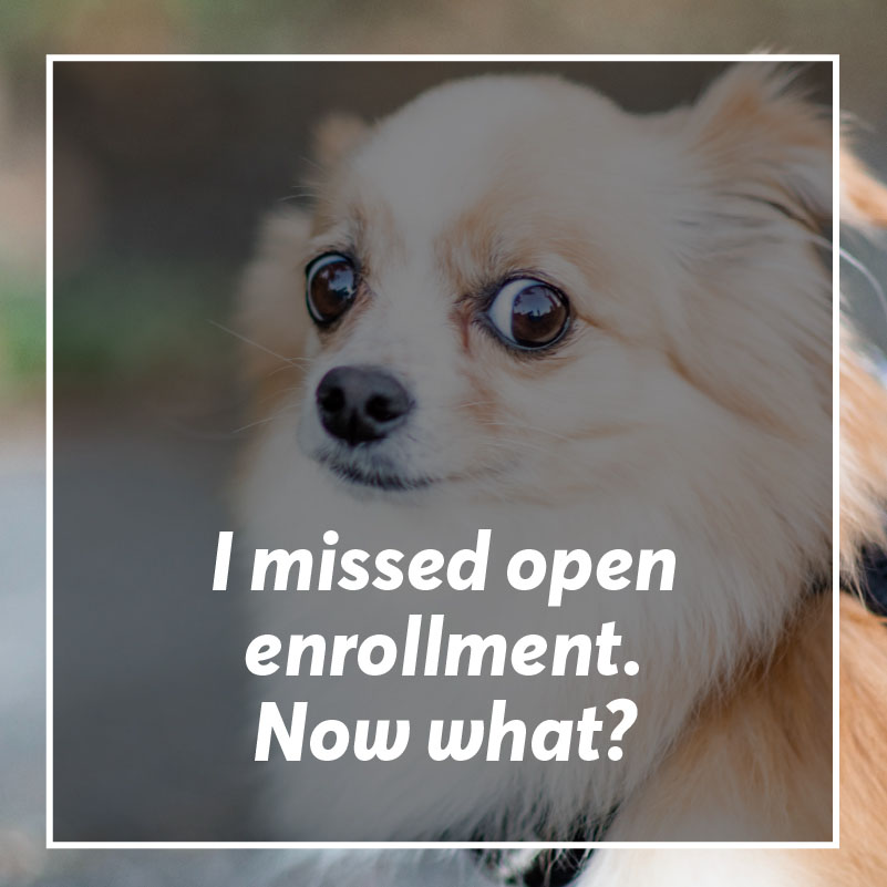 I missed open enrollment. Now what? | Decent
