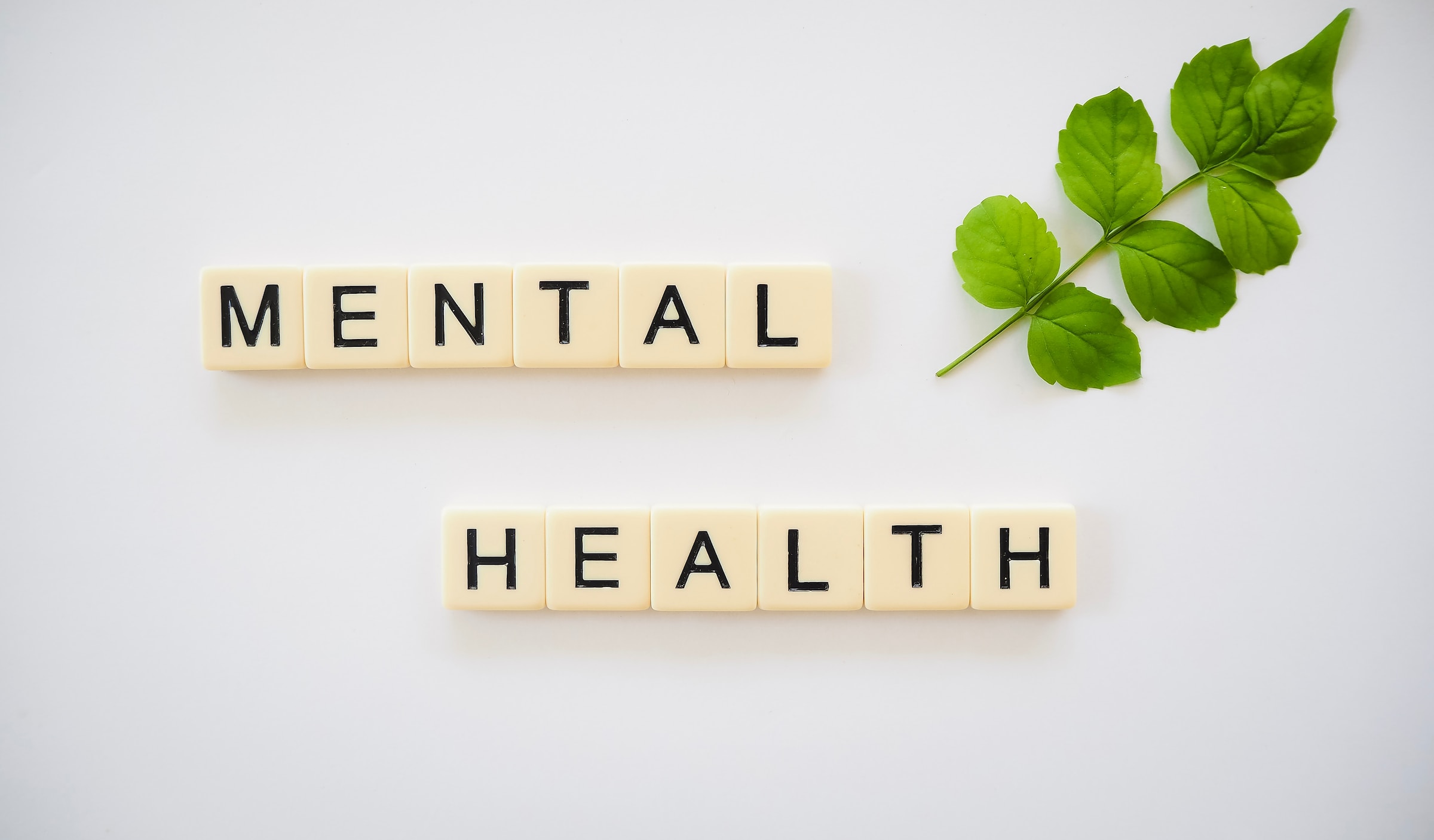 Key Factors Influencing Mental Health Benefit Use | Decent
