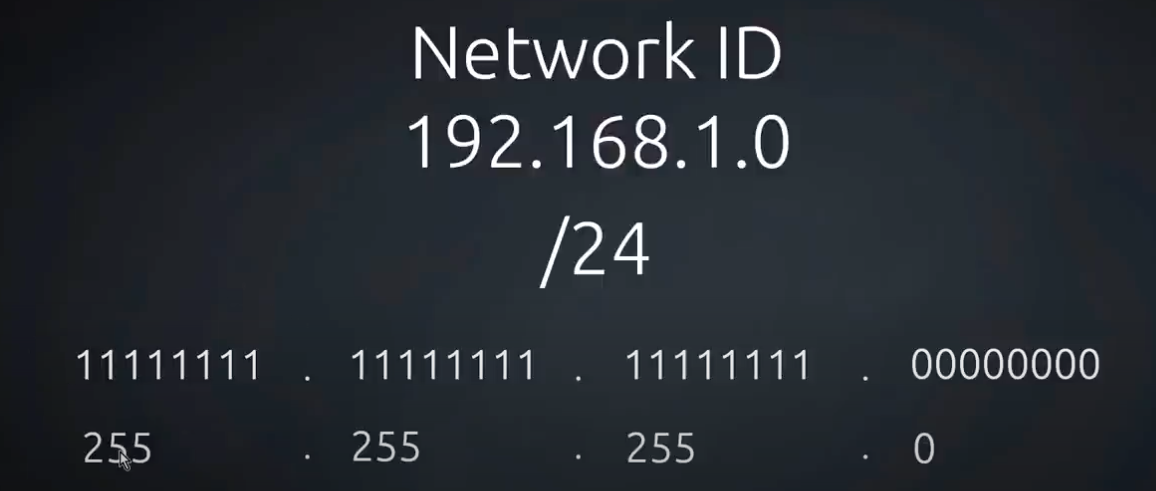 IPv4 Addressing Lesson: Network IDs and Subnet Masks