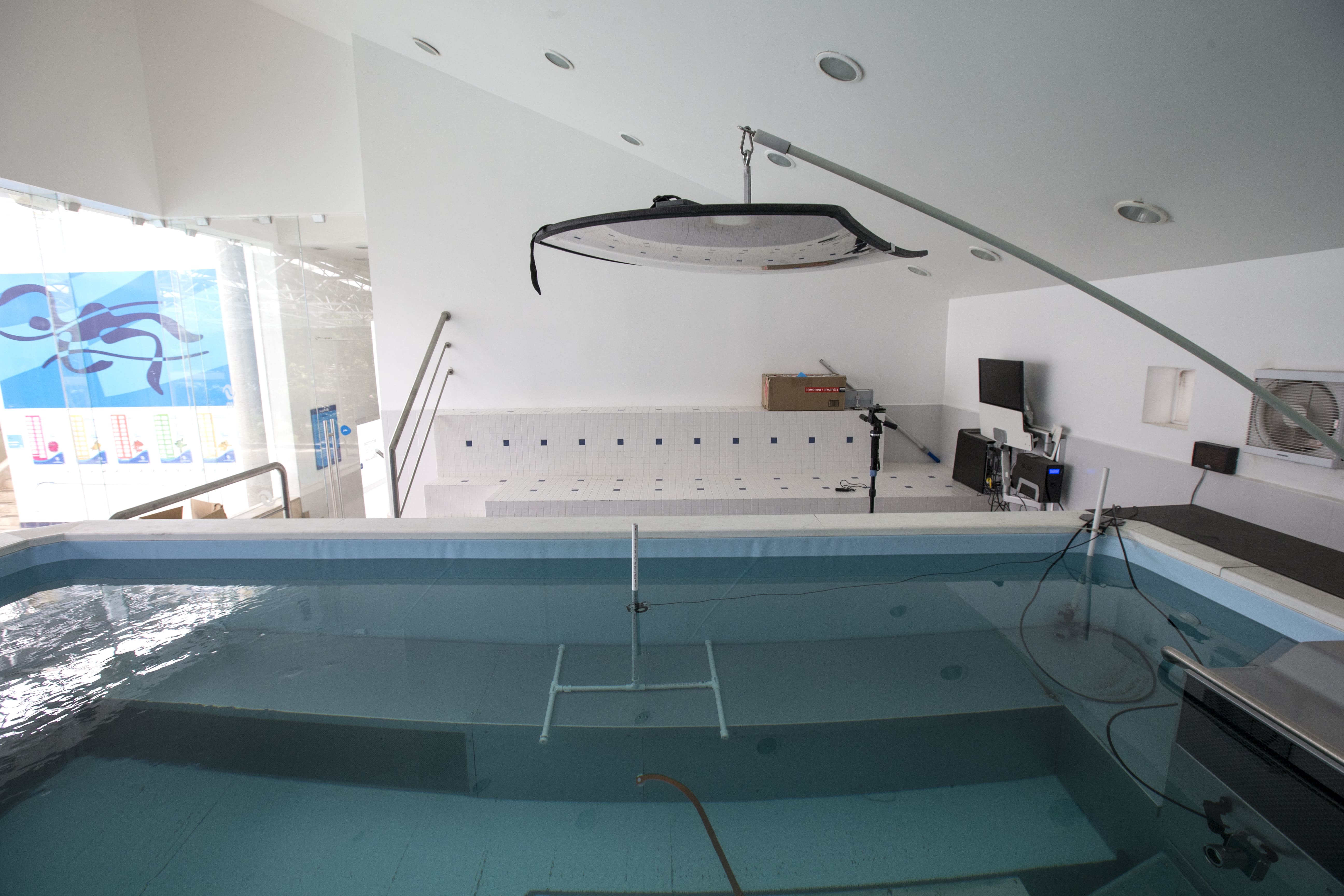 Mejora tu técnica de natación en el Laboratorio Acuático ANV