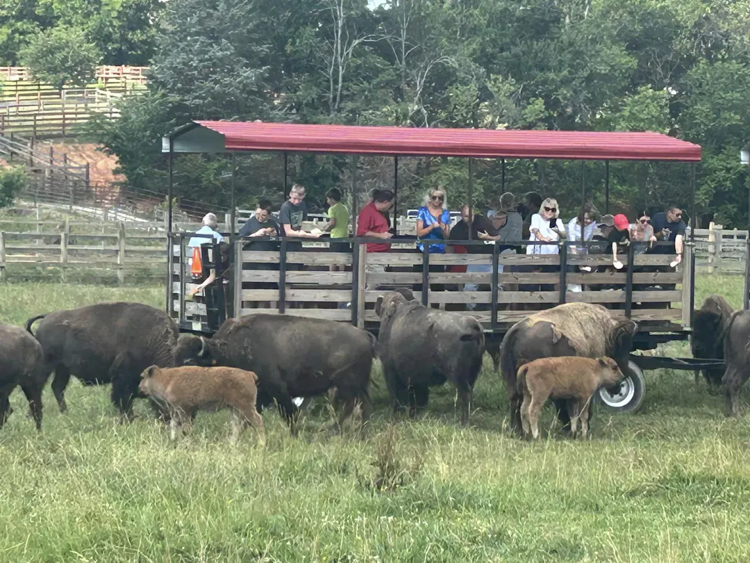 Tours | The Overlook at KC Bison Ranch