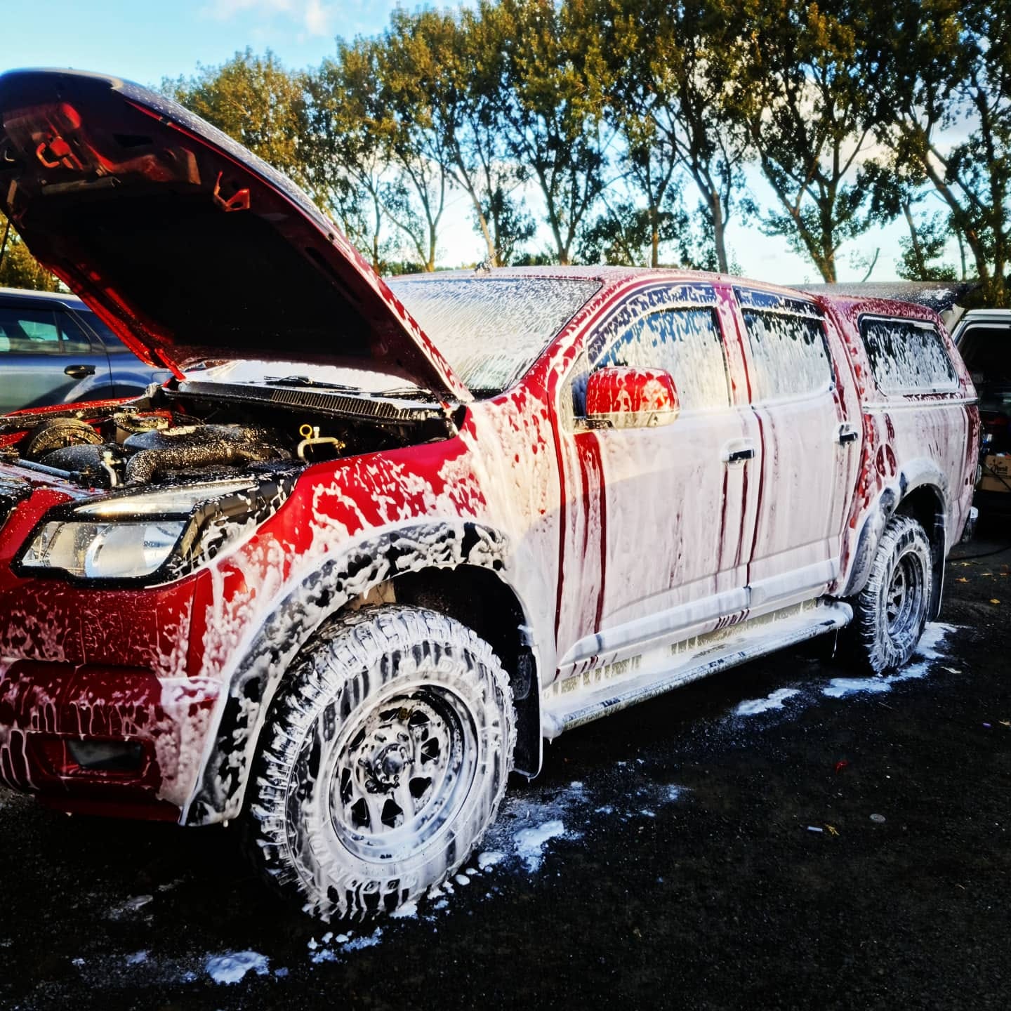Vehicle Cleaning & Detailing, House Cleaning, Lawn & Garden Landscaping.
